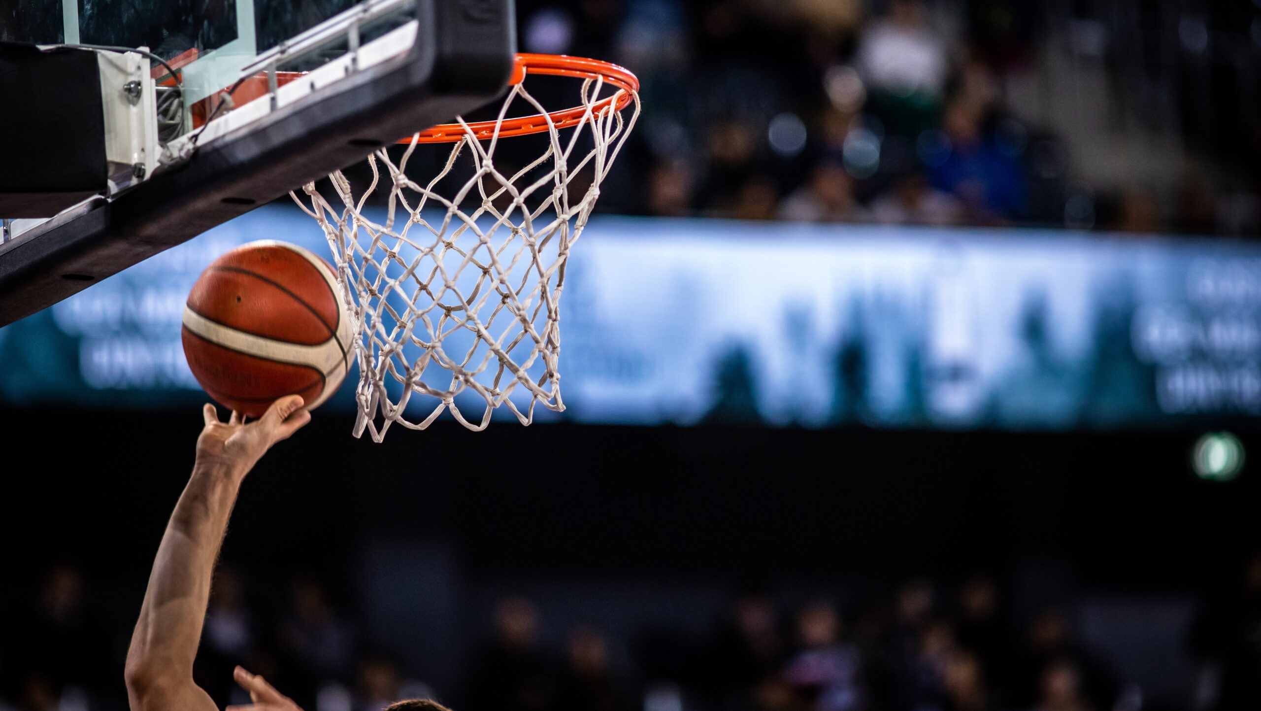 Carl Herrera: Primero en llegar a la NBA en nombre de Venezuela