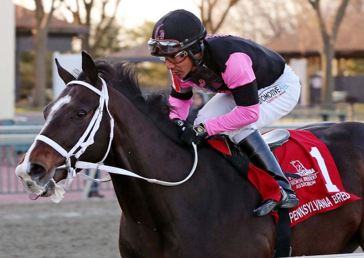 Parx Racing picks: Retrospecto de carreras americanas para hoy