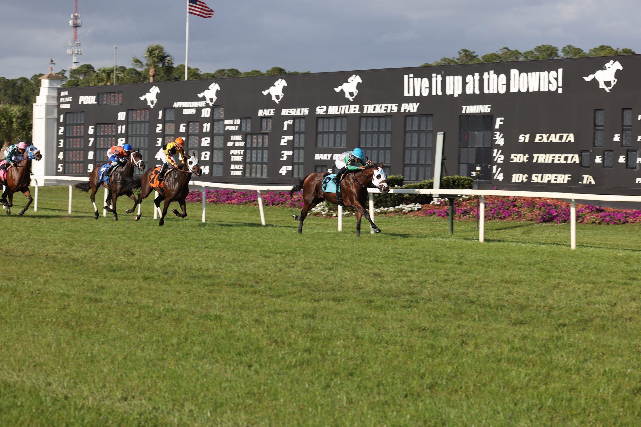Resumen Tampa Bay Downs hoy: Datos de carreras americanas