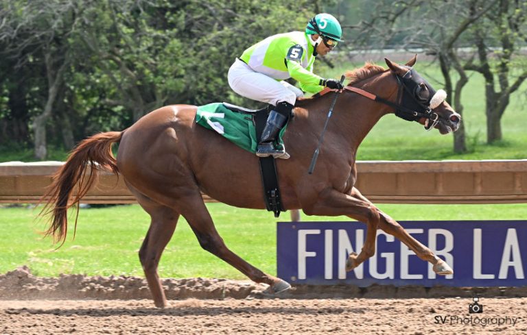 Handicapper finger lakes: Datos y picks gratis para carreras americanas