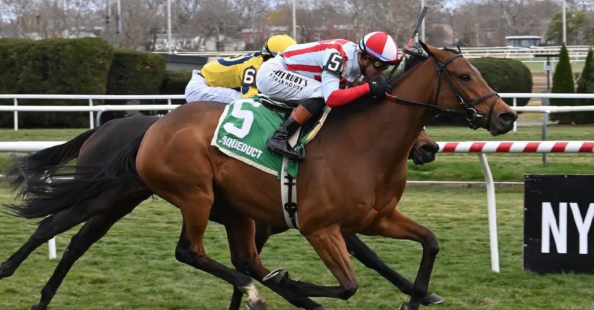 Hipódromo Aqueduct Horse Racing - Picks y race track entries 30 de ...